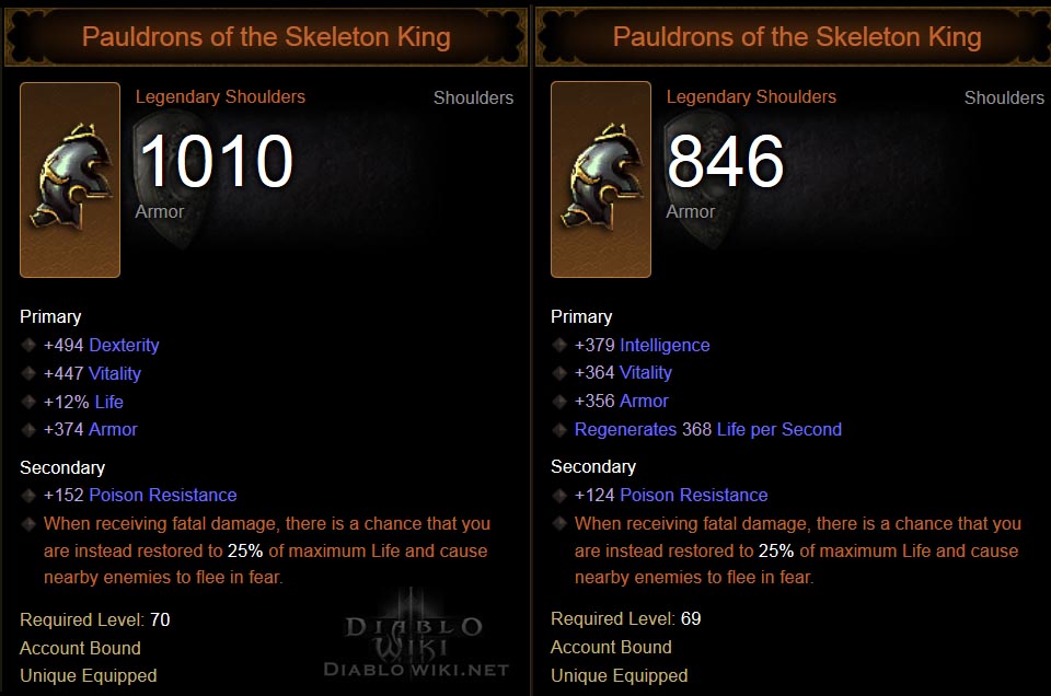 Pauldrons of the Skeleton King - Diablo Wiki