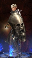 Wall of Bone - Diablo Wiki